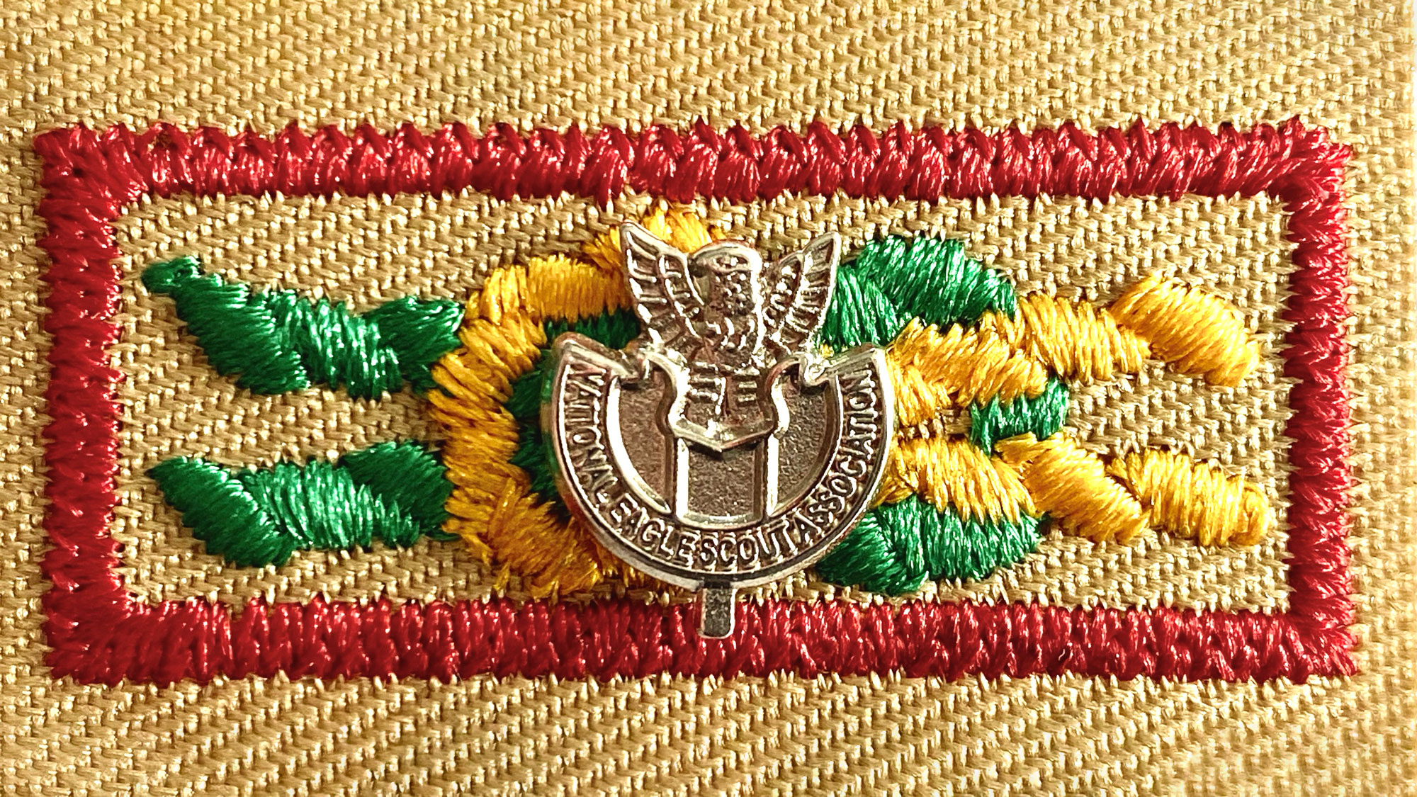 The NESA Legacy Society The National Eagle Scout Association